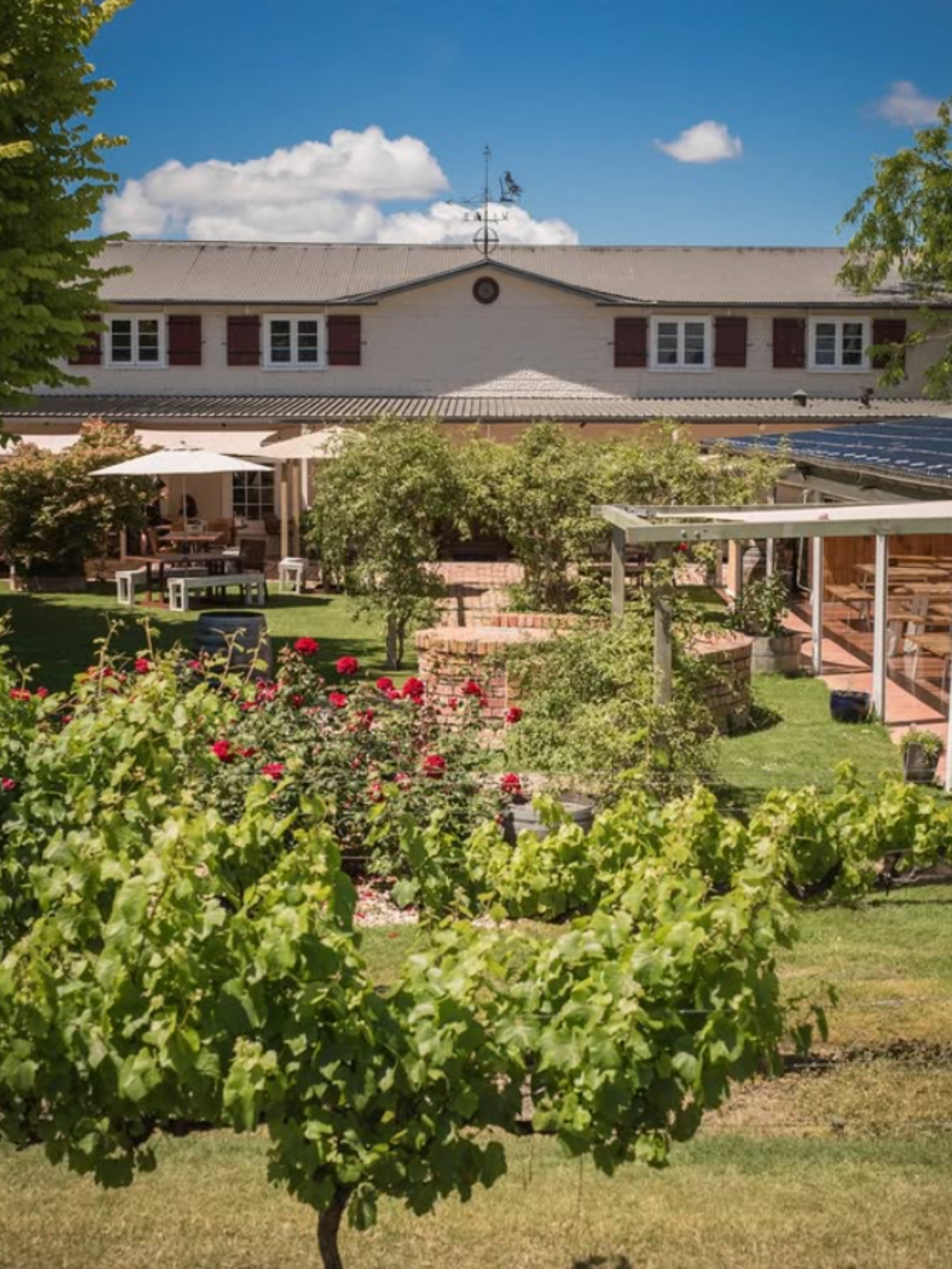 Brookfields – winefutures